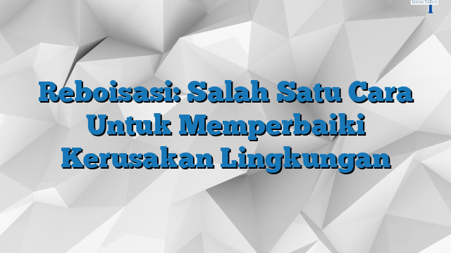 Reboisasi: Salah Satu Cara Untuk Memperbaiki Kerusakan Lingkungan ... Reboisasi: Salah Satu Cara Untuk Memperbaiki Kerusakan Lingkungan ...